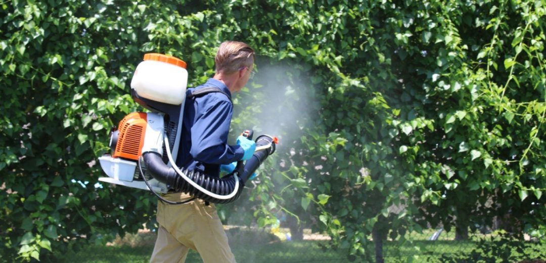 Mosquito Misting | Ideal Pest Control Fort Worth, TX